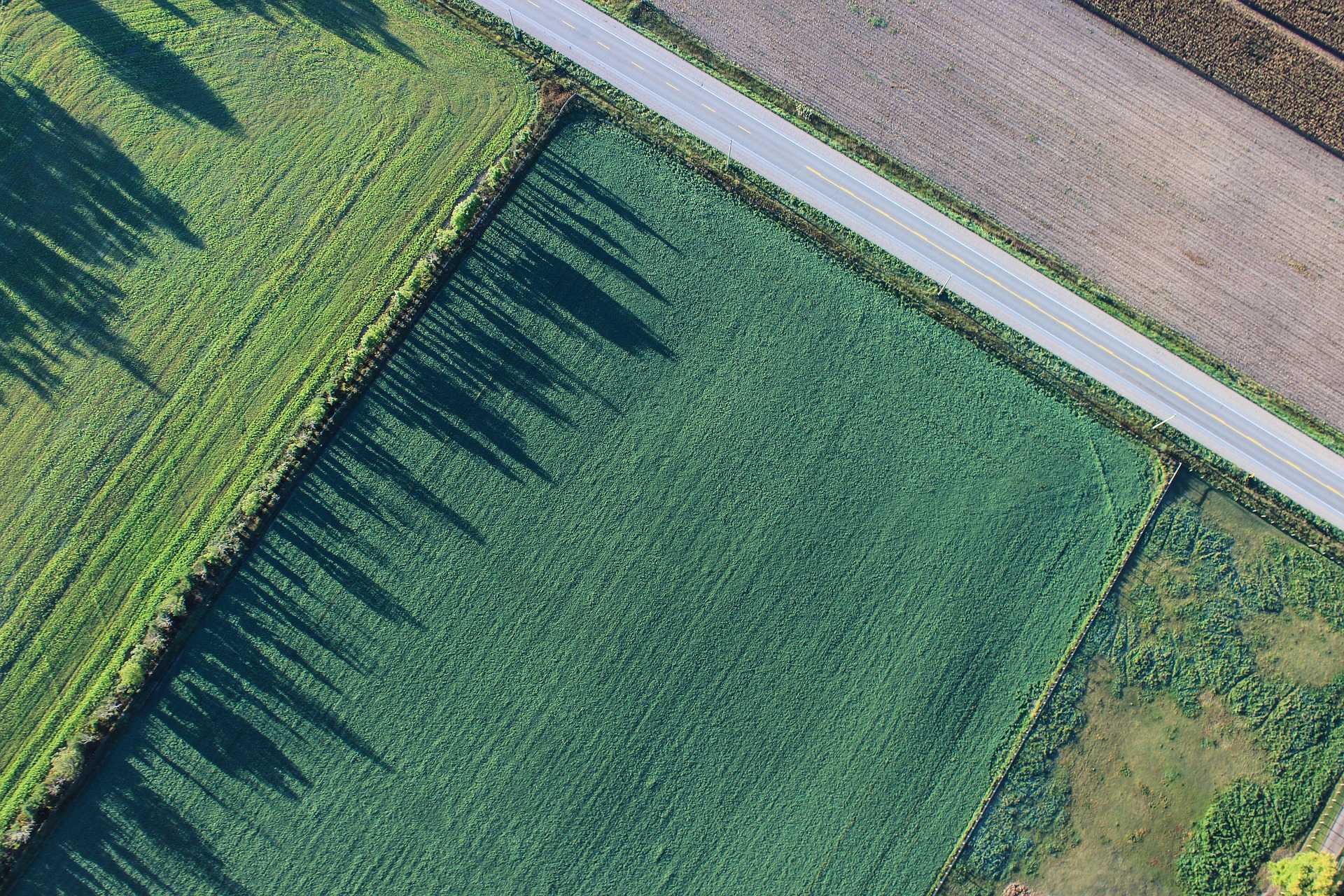 Los paisajes agrícolas con parcelas pequeñas y variadas fomentan la ...