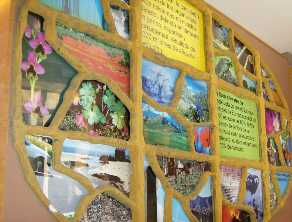 ¿Qué son los bancos de germoplasma? - Biodiversidad. Los enlaces de la vida