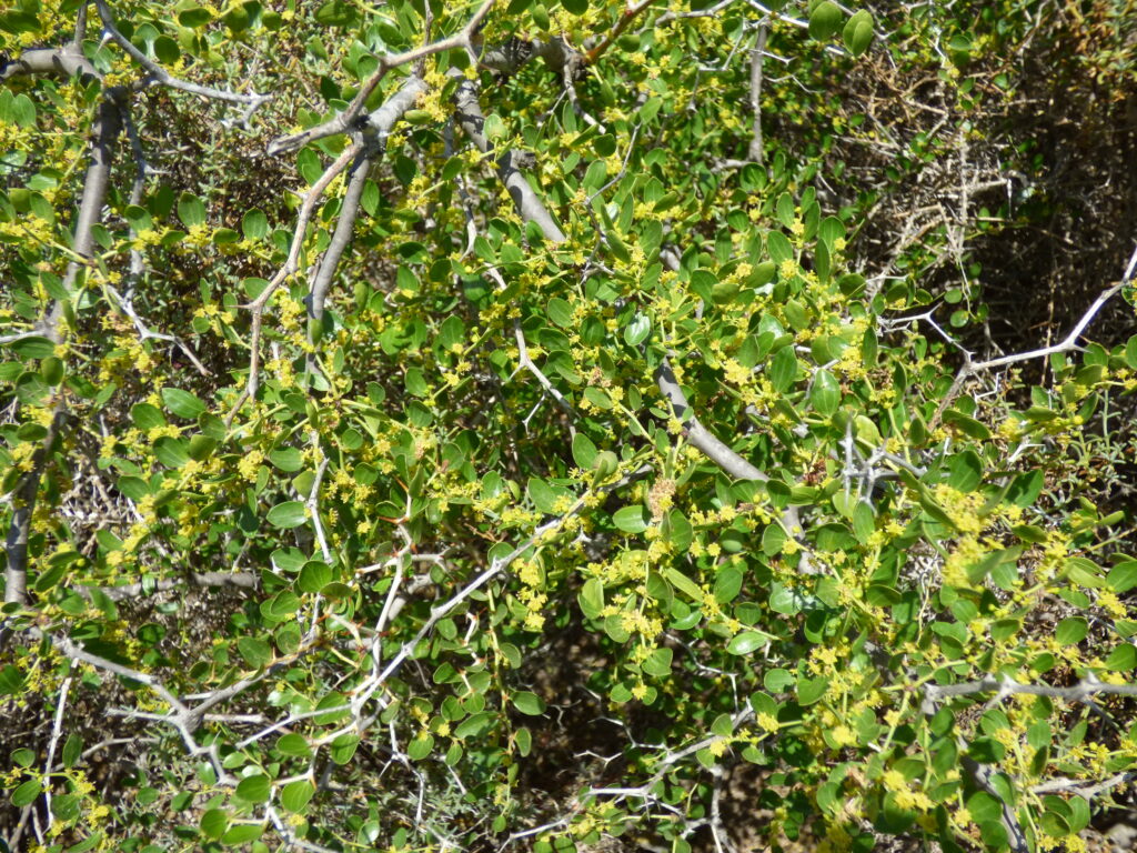 Advierten de que el cambio climático disminuye la capacidad del ...