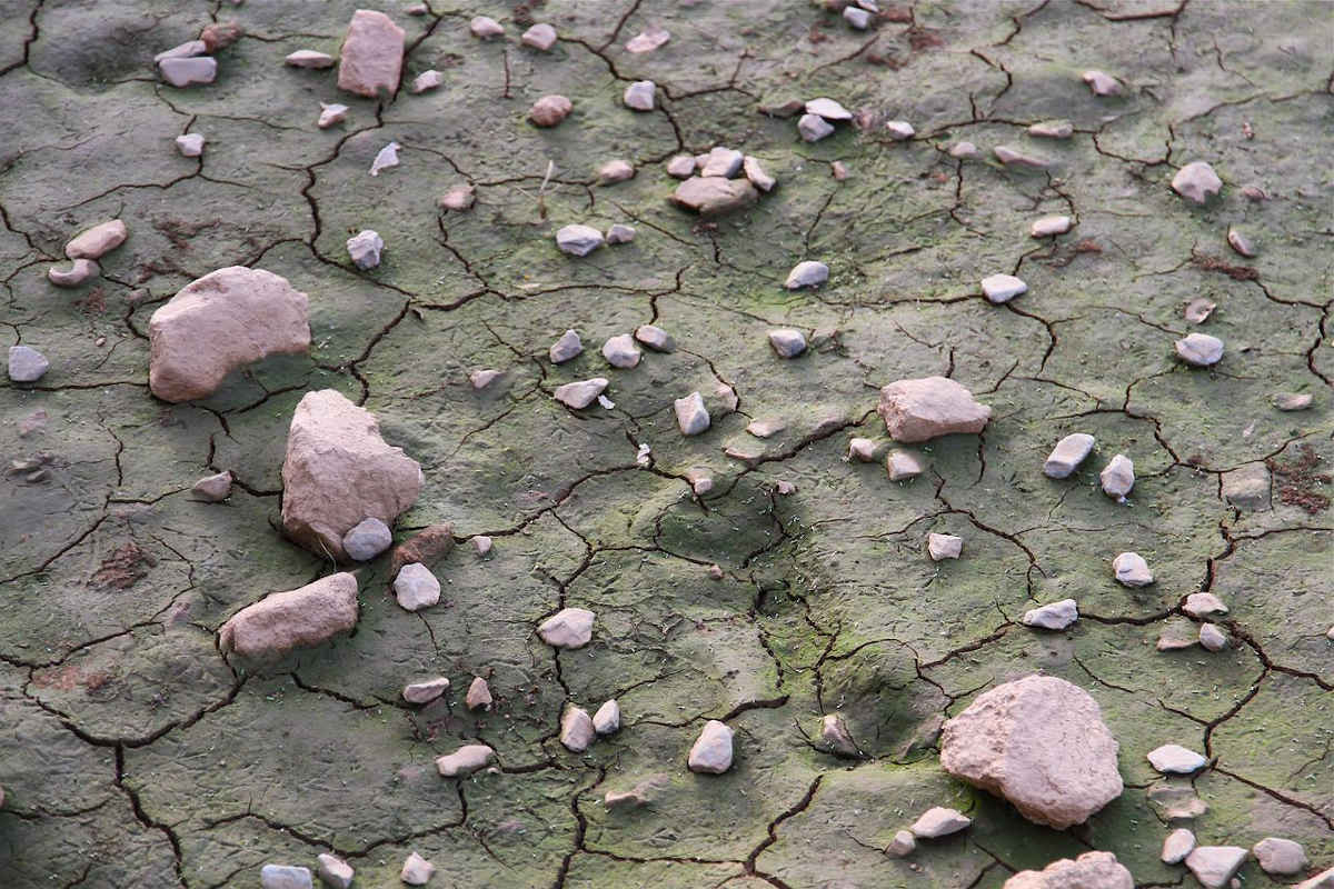 Las zonas húmedas de la Tierra podrían descender un 74 % para finales ...