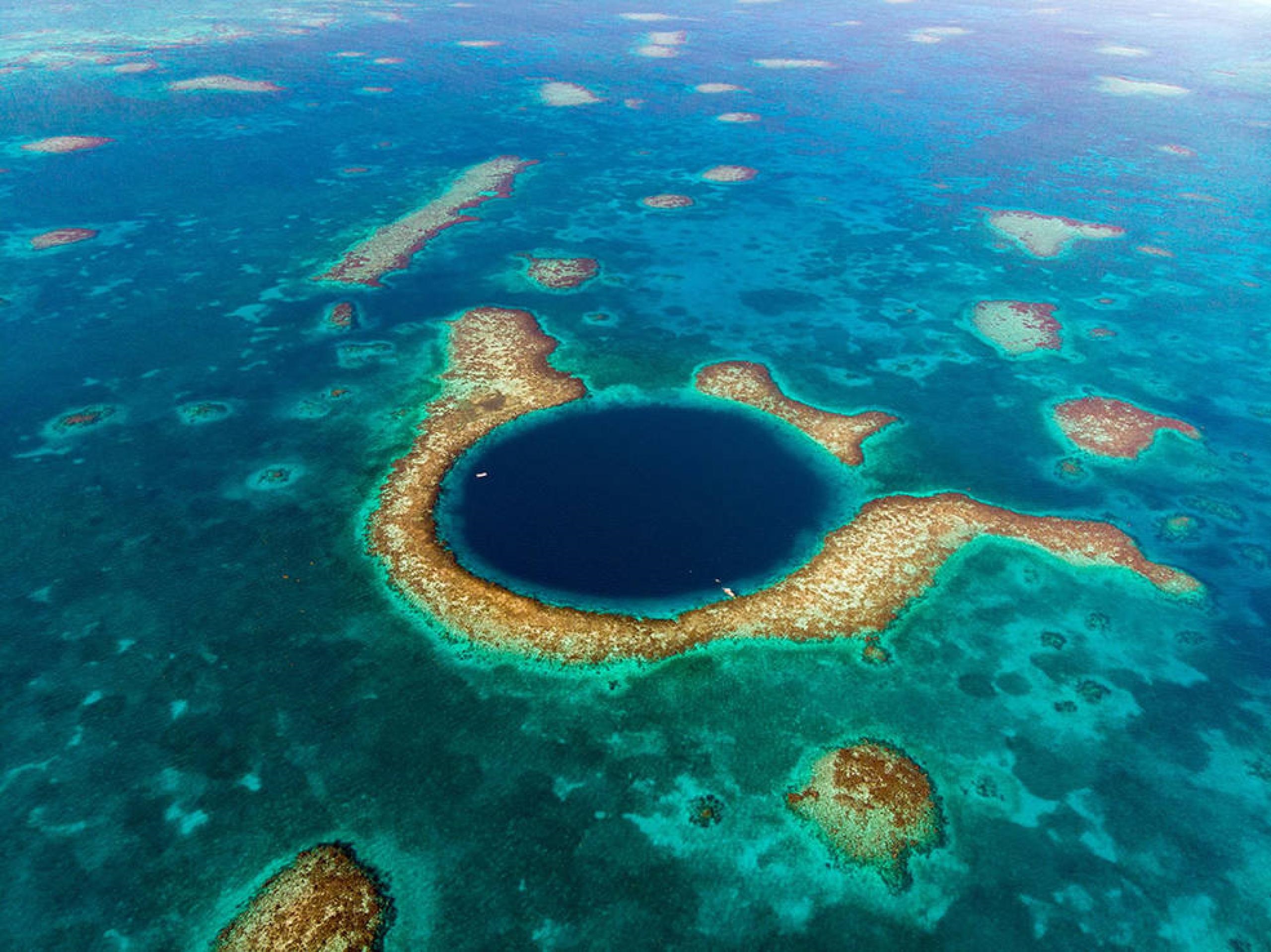 Ayudan a evaluar el riesgo que corren los arrecifes de coral de Belice
